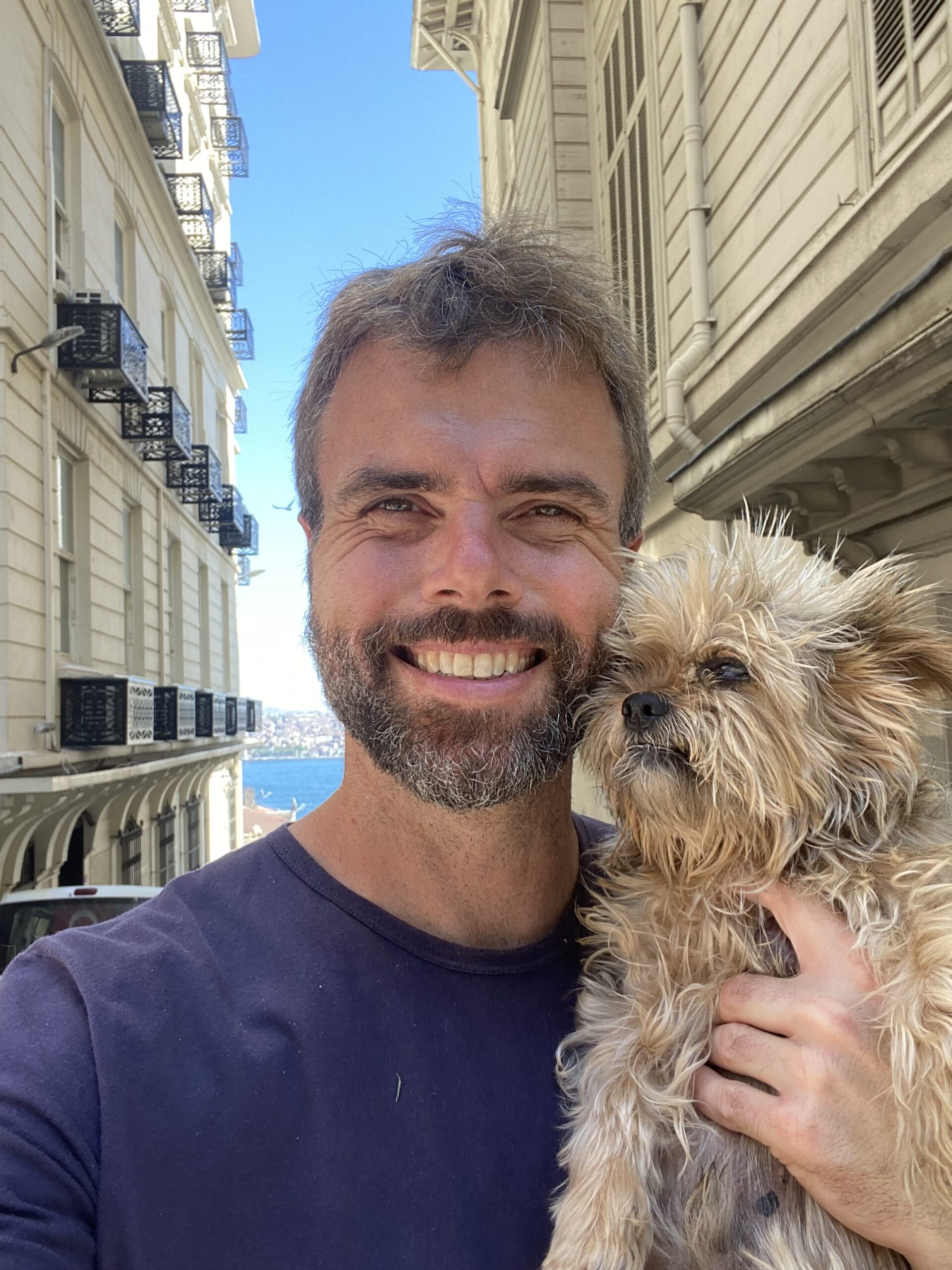 Writings of Andrew Schiestel